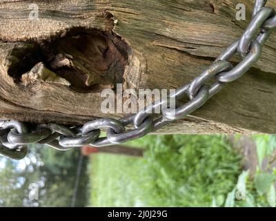 Silver chain around a tree trunk Stock Photo - Alamy