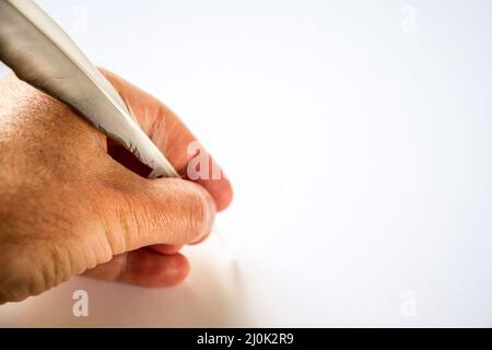 hand writing with a bird feather isolated on white background. hand ...
