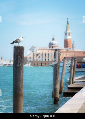 San Giorgio Maggiore church on Grand Canal in Venice Stock Photo - Alamy