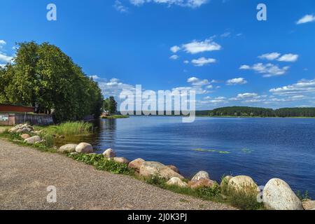 Forest on shore of Lake Seliger, Russia Stock Photo - Alamy