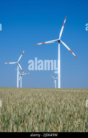Wind turbines in a grainfield seen in Germany Stock Photo - Alamy