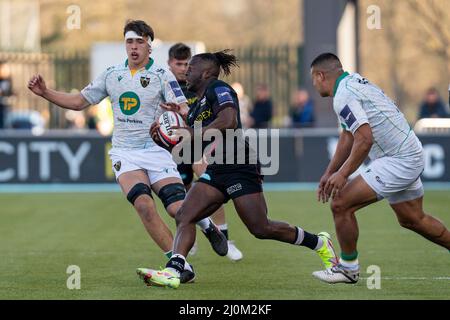 Saracens Rotimi Segun in action during the Leicester Tigers vs Saracens ...