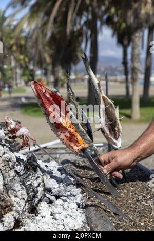 Grilled fish on skewers over open fire, outdoor cooking, barbecue ...