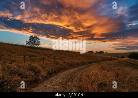Firelight in autumn Stock Photo - Alamy