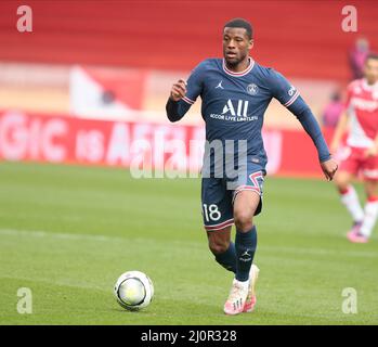 Georginio Wijnaldum during Ligue 1 match between Monaco v Paris Saint ...