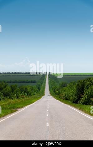 An empty road surrounded by trees with a blue sky background in China ...