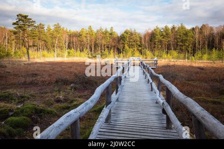 Autumn hiking and discovering the marshland of Heidenreichsteiner Moor ...