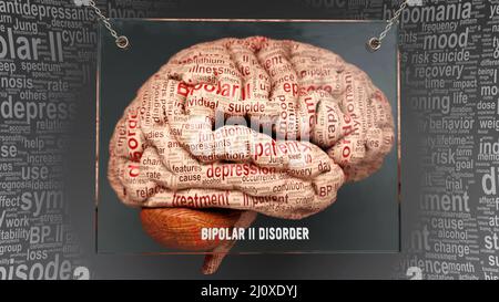 Bipolar i disorder anatomy - its causes and effects projected on a ...
