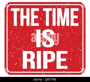 THE TIME IS RIPE text written on black rectangle stamp sign Stock Photo ...