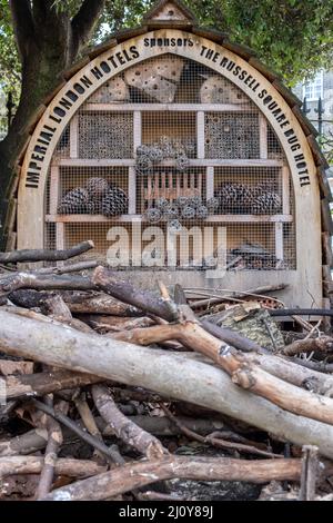The Russell Square Insect hotel, London, a safe shelter for spiders ...