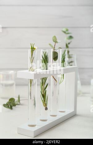 Essential oils making in laboratory Stock Photo - Alamy