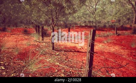 Dingoe fence in the Australian Outback Stock Photo - Alamy