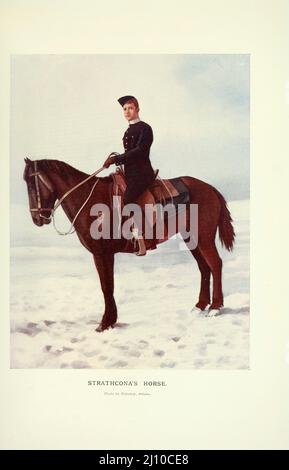Members of the Canadian regiment, Lord Strathcona's Horse ride at Horse ...