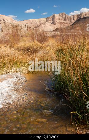 Amargosa Wild and Scenic River along Amargosa River Trail, Amargosa ...