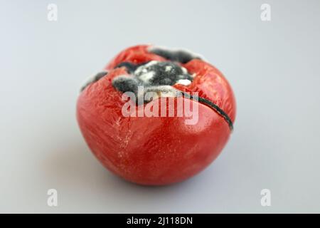 Expired Organic bio waste. Biodegradable waste decomposing, a mix of ...