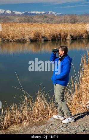 Hinkson Slough, Mason Valley Wildlife Management Area, Nevada Stock ...