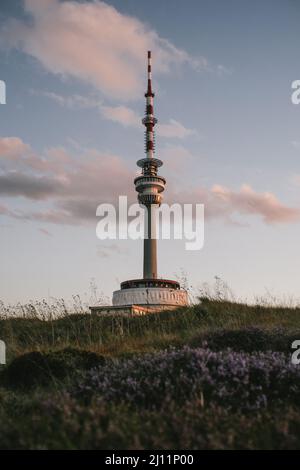 TV tower on green field Stock Photo - Alamy