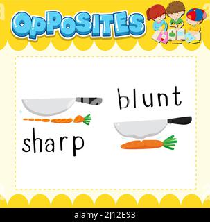 Opposite words for blunt and sharp illustration Stock Vector Image ...