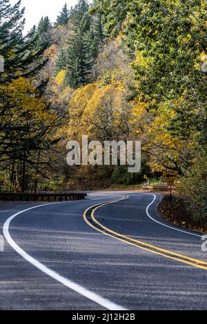 Scenic autumn landscape with a disappearing around the corner winding ...