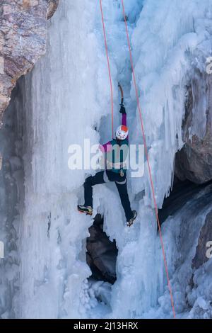 A female ice climber ascending an ice wall using ice axes and crampons ...