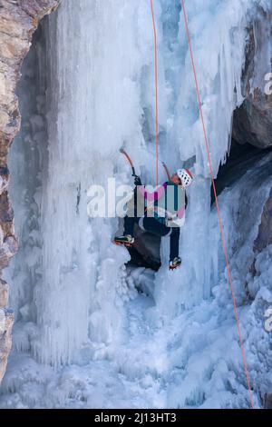A female ice climber ascending an ice wall using ice axes and crampons ...