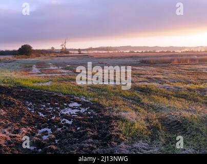 Ampermoos, Amper Bog, River Valley Fen Near Lake Ammersee In Upper ...