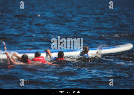 Group of young SUP surfers fall from stand up paddle board, women ...