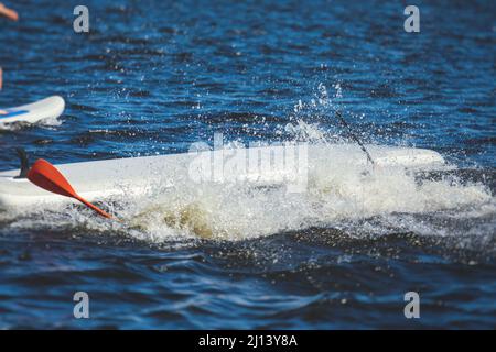 Group of young SUP surfers fall from stand up paddle board, women ...