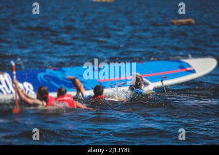 Group of young SUP surfers fall from stand up paddle board, women ...