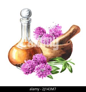 Red pink field clover homemade tincture, Hand drawn watercolor ...