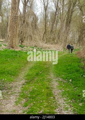 La Garzaia natural reserve park at Pomponesco Mantua Italy Stock Photo ...