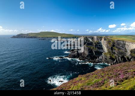 The Kerry Cliffs are over 1,000 ft high and offer magnificent views of ...