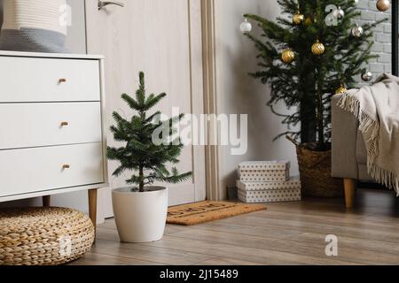 Christmas trees and floor mat near door in room Stock Photo - Alamy