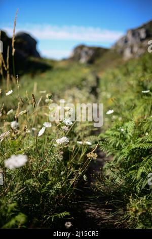 Facho de Donon cliffs in Pontevedra, in Galicia, Spain Stock Photo - Alamy