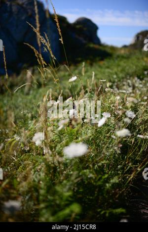 Facho de Donon cliffs in Pontevedra, in Galicia, Spain Stock Photo - Alamy