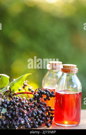 of elderberries in summer on its branches filled with leaves Stock ...