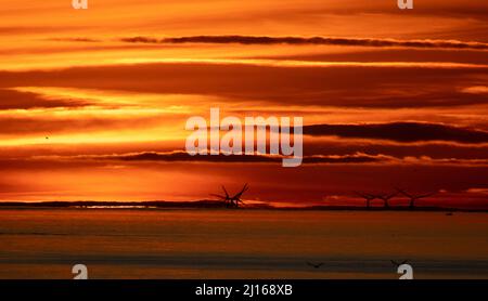 A spectacular sunset viewed from Margate beach in Kent Stock Photo - Alamy