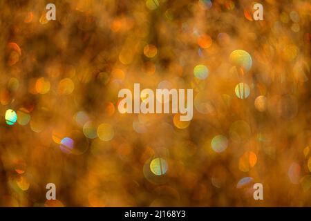 glare bokeh in water Stock Photo - Alamy