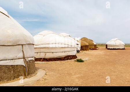 Yurt campsite in the Kyzylkum desert in Northern Uzbekistan, Central ...
