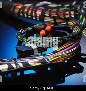 complex wiring harness for car building industry Stock Photo - Alamy