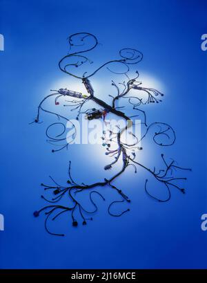 complex wiring harness for car building industry Stock Photo - Alamy