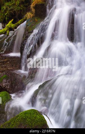 Spring Water in Kikuchi Gorge, Kumamoto Prefecture, Japan Stock Photo ...