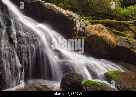 Spring Water in Kikuchi Gorge, Kumamoto Prefecture, Japan Stock Photo ...