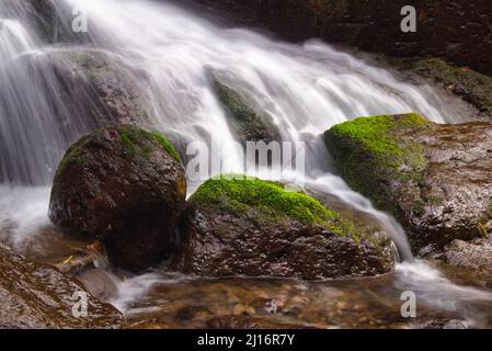 Spring Water in Kikuchi Gorge, Kumamoto Prefecture, Japan Stock Photo ...