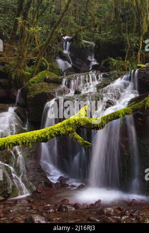 Spring Water in Kikuchi Gorge, Kumamoto Prefecture, Japan Stock Photo ...