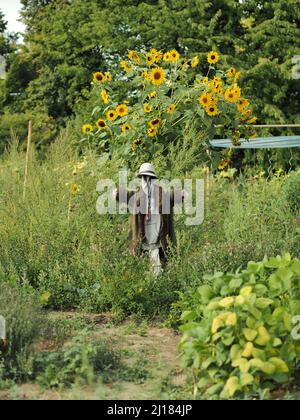 Halloween creepy boy with doll Stock Photo - Alamy