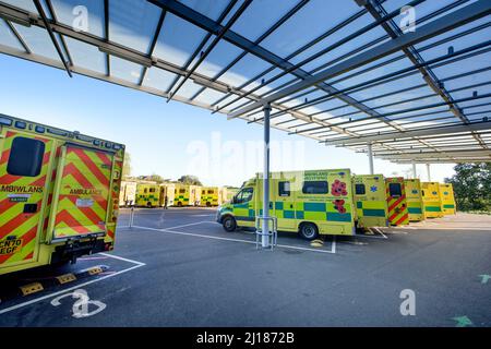 The problem of queueing ambulances due to unavailable hospital beds. An ...