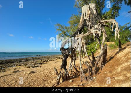 Scenic impressions from Kawela Beach on the North SHore, Oahu HI Stock ...