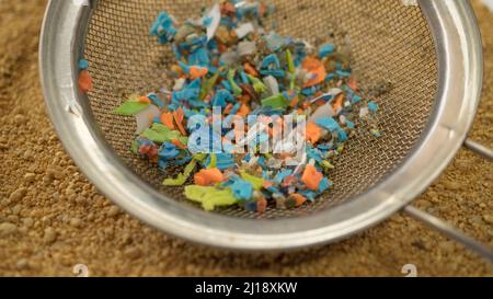 Microplastics hand-picked with a steel sieve from the agriculture field ...