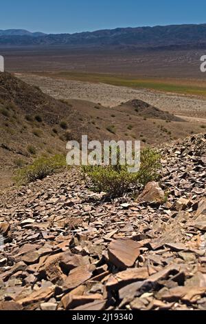 El Leoncito National Park, San Juan Province, Argentina Stock Photo - Alamy